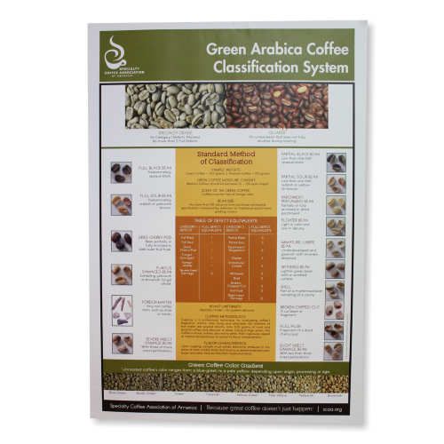 Green Defect Poster - SCAA - Tea Coffee Suplies