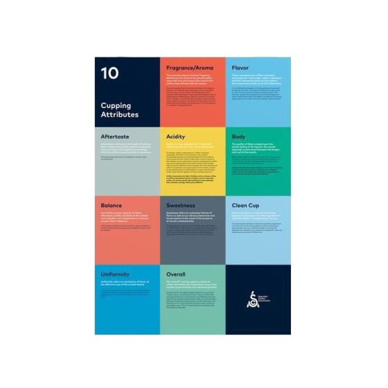 The Cupping Attributes Poster - SCA - Tea Coffee Suplies